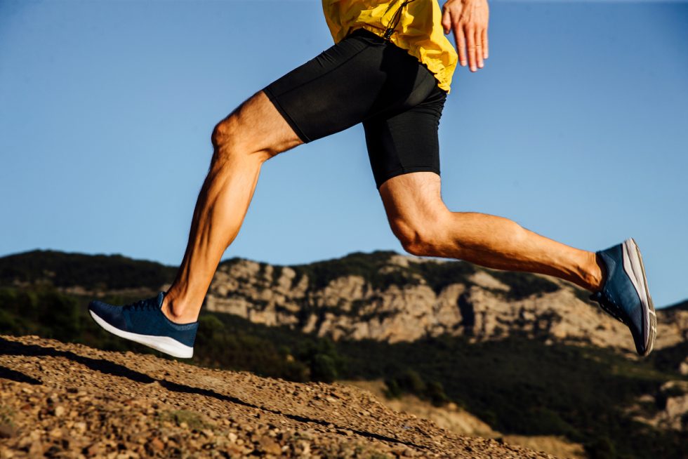 New Protocol: Strength Assessment of the Lower Extremities - BTE